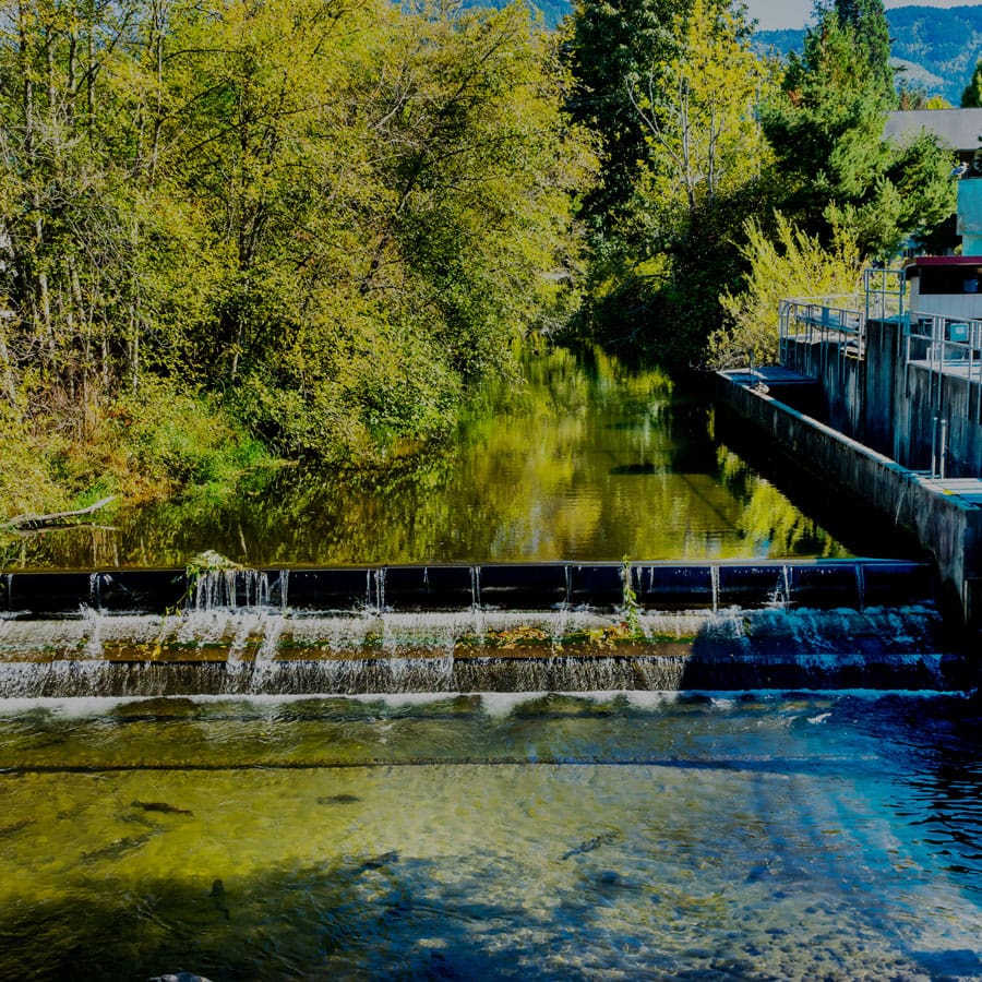 Issaquah | Seattle Mortgage Planners